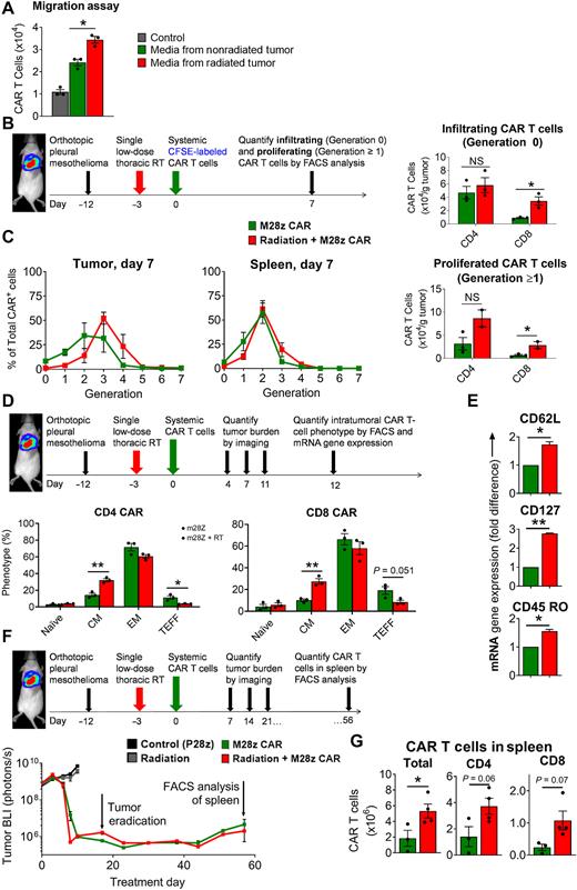 Tumor-Targeted Nonablative Radiation Promotes Solid Tumor CAR T-cell ...