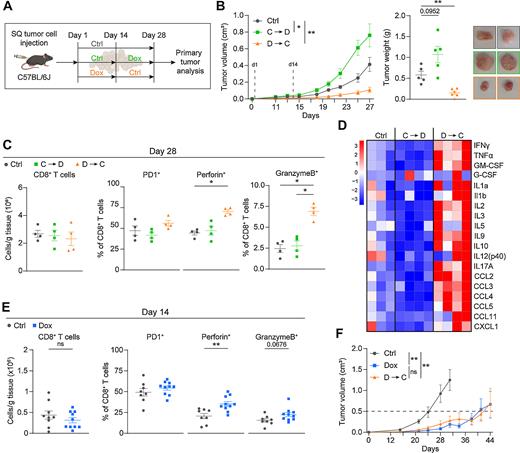 Tumor Cell–Intrinsic c-Myb Upregulation Stimulates Antitumor Immunity ...