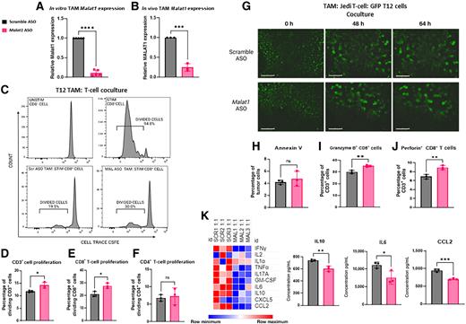 Targeted Inhibition of lncRNA Malat1 Alters the Tumor Immune ...
