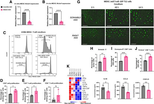 Targeted Inhibition of lncRNA Malat1 Alters the Tumor Immune ...