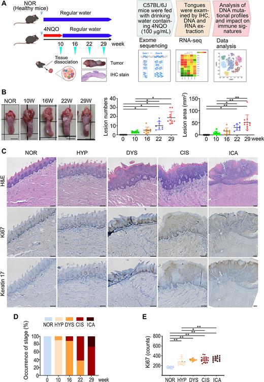 Genomic and Transcriptomic Landscape of an Oral Squamous Cell Carcinoma ...