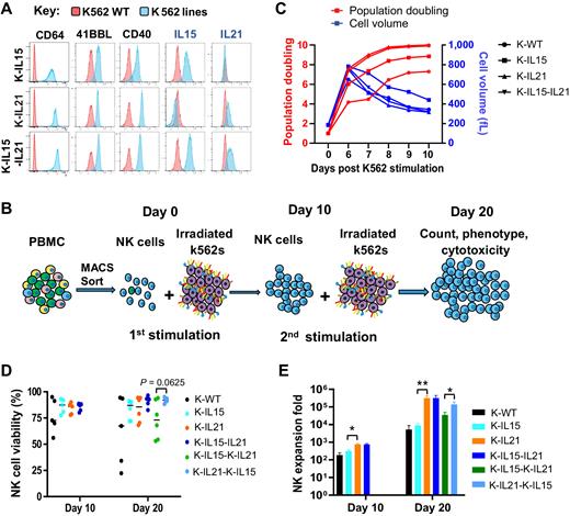 Sequential Exposure to IL21 and IL15 During Human Natural Killer Cell ...