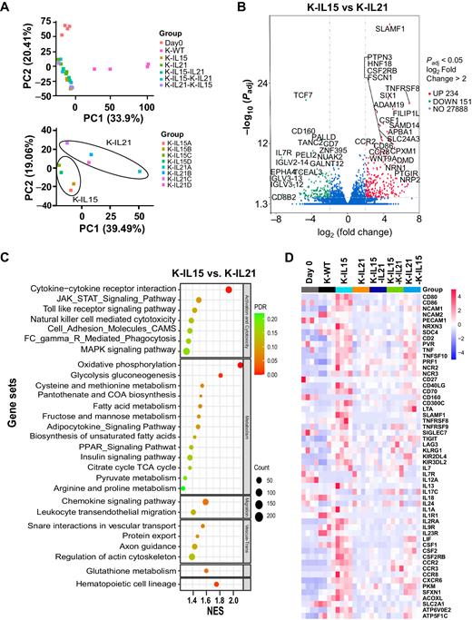 Sequential Exposure to IL21 and IL15 During Human Natural Killer Cell ...