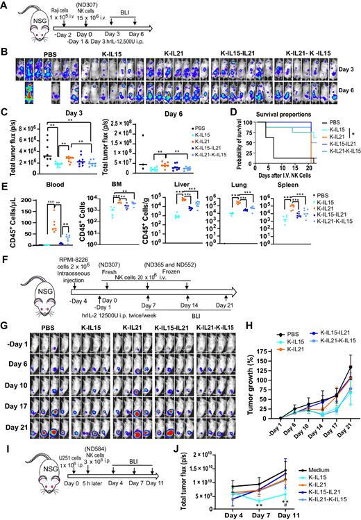 Sequential Exposure to IL21 and IL15 During Human Natural Killer Cell ...