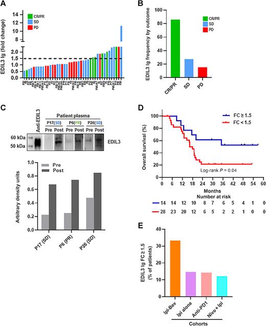 EDIL3 as an Angiogenic Target of Immune Exclusion Following Checkpoint ...