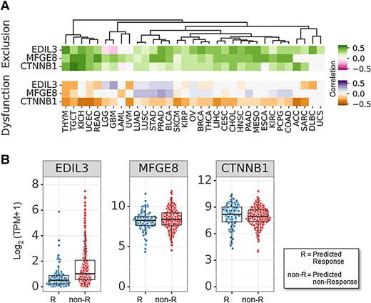 EDIL3 as an Angiogenic Target of Immune Exclusion Following Checkpoint ...