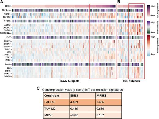 EDIL3 as an Angiogenic Target of Immune Exclusion Following Checkpoint ...