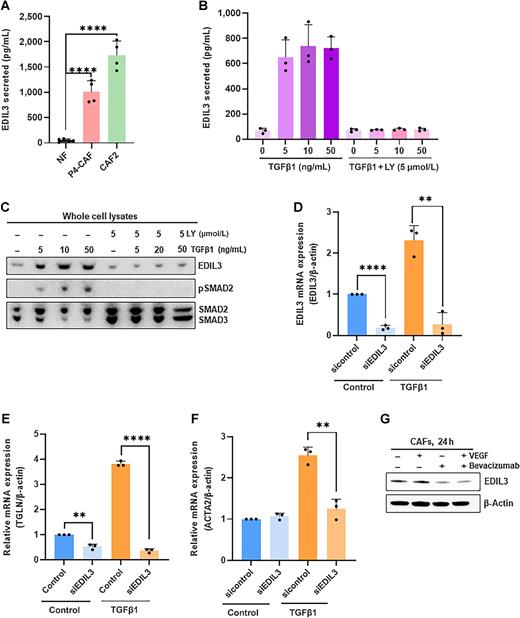 EDIL3 as an Angiogenic Target of Immune Exclusion Following Checkpoint ...