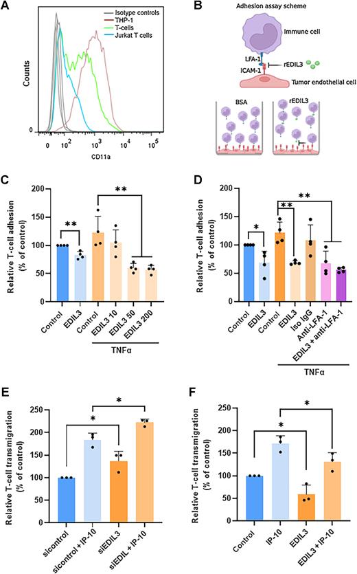 EDIL3 as an Angiogenic Target of Immune Exclusion Following Checkpoint ...