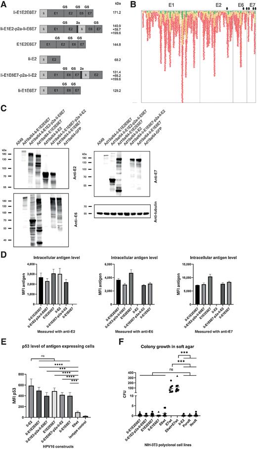 Efficacy and Synergy with Cisplatin of an Adenovirus Vectored ...