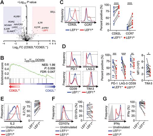 LEF1 Drives a Central Memory Program and Supports Antitumor Activity of ...