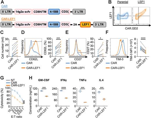 LEF1 Drives a Central Memory Program and Supports Antitumor Activity of ...