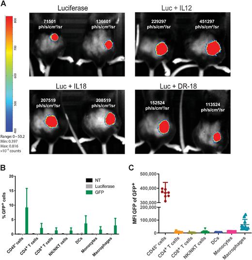 Intratumoral Gene Transfer of mRNAs Encoding IL12 in Combination with ...