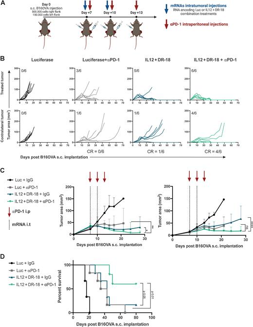 Intratumoral Gene Transfer of mRNAs Encoding IL12 in Combination with ...
