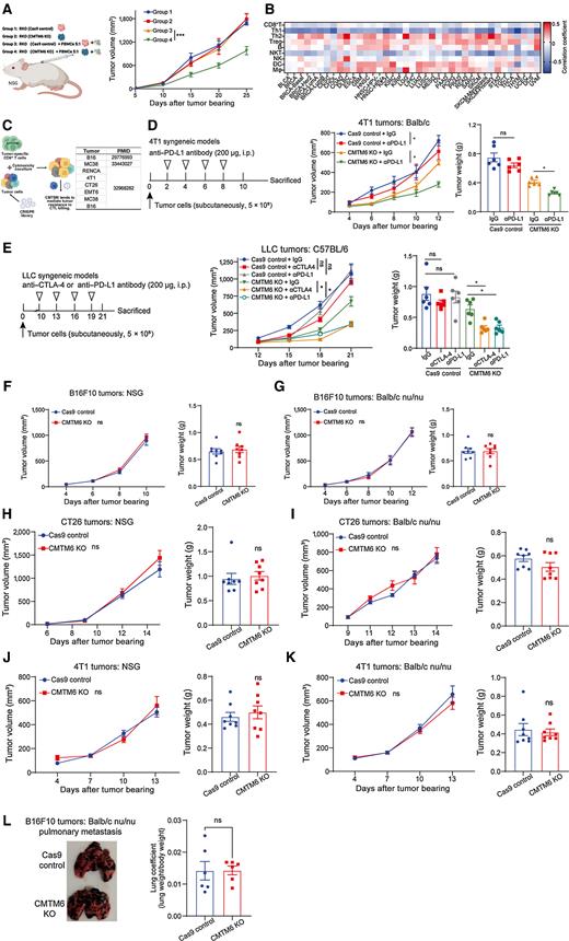 Suppression of Tumor or Host Intrinsic CMTM6 Drives Antitumor ...