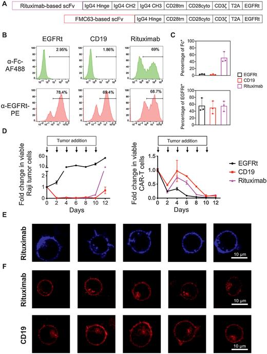 Rational Protein Design Yields a CD20 CAR with Superior Antitumor ...