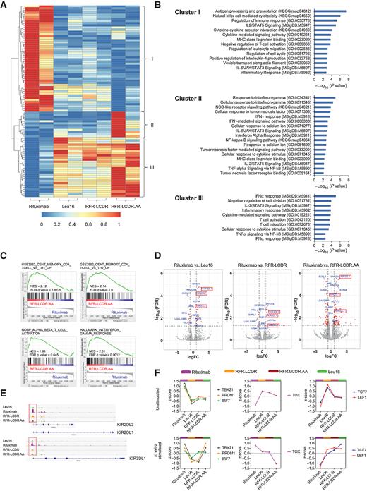 Rational Protein Design Yields a CD20 CAR with Superior Antitumor ...
