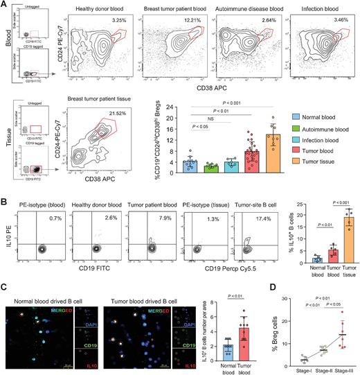 Tumor-Associated CD19+CD39− B Regulatory Cells Deregulate Class-Switch ...