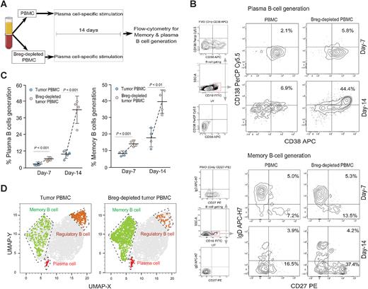 Tumor-Associated CD19+CD39− B Regulatory Cells Deregulate Class-Switch ...