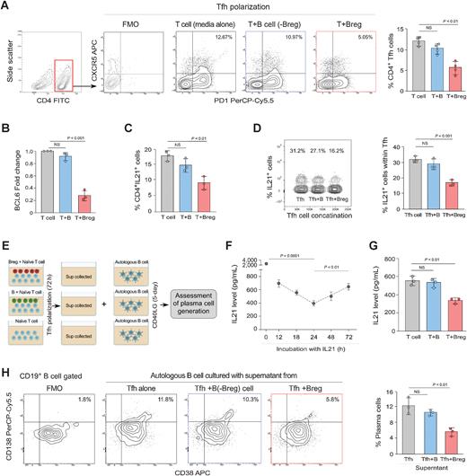 Tumor-Associated CD19+CD39− B Regulatory Cells Deregulate Class-Switch ...