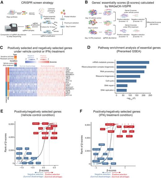 Cancer Cell Resistance to IFNγ Can Occur via Enhanced Double-Strand ...