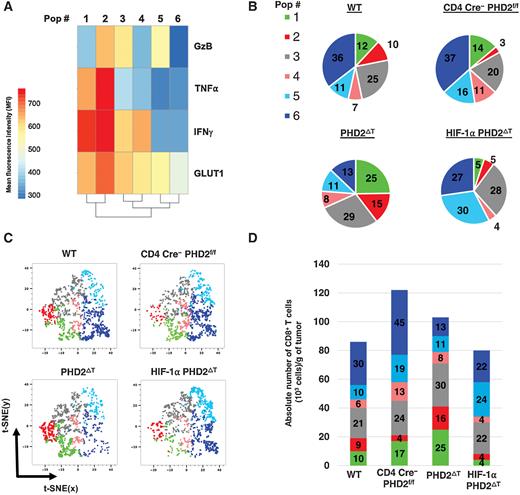 PHD2 Constrains Antitumor CD8+ T-cell Activity | Cancer Immunology ...