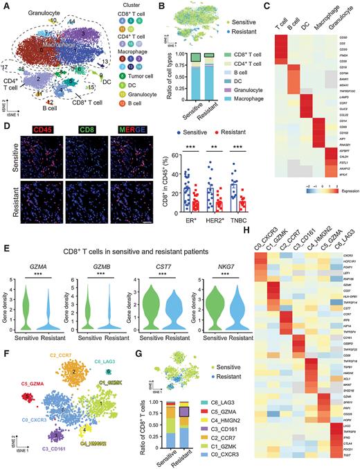 CD8+ T cell–Dependent Remodeling of the Tumor Microenvironment ...