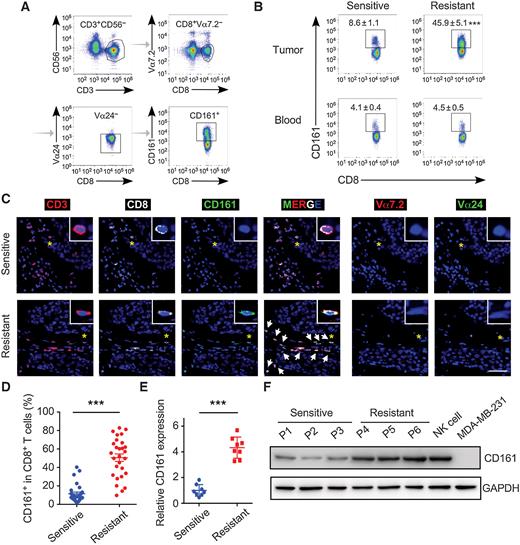 CD8+ T cell–Dependent Remodeling of the Tumor Microenvironment ...