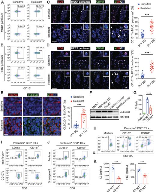 CD8+ T cell–Dependent Remodeling of the Tumor Microenvironment ...