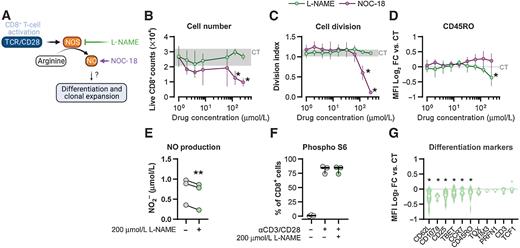 Infiltration of Tumors Is Regulated by T cell–Intrinsic Nitric Oxide ...
