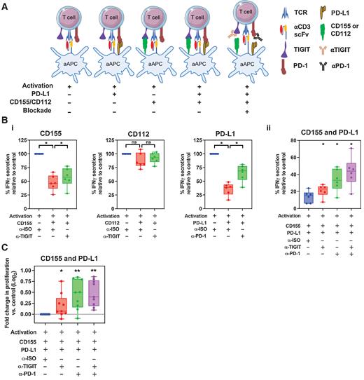 Tissue-Resident Memory T Cells in Pancreatic Ductal Adenocarcinoma ...