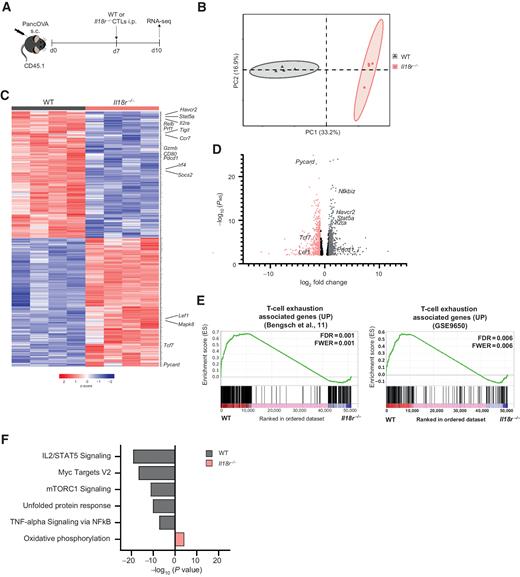 IL18 Receptor Signaling Regulates Tumor-Reactive CD8+ T-cell Exhaustion ...