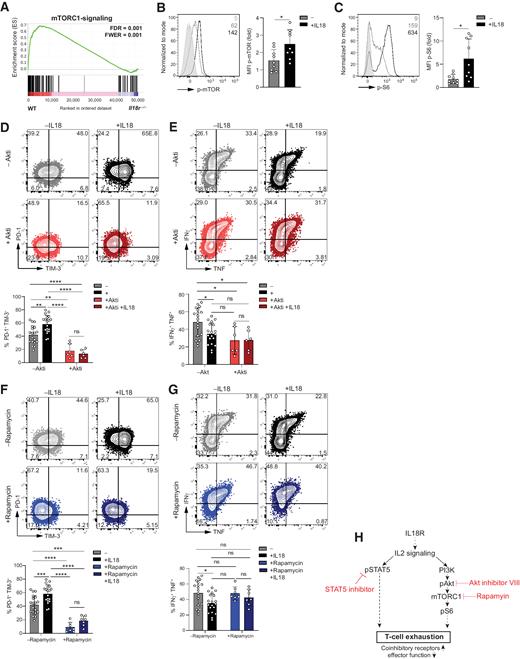 IL18 Receptor Signaling Regulates Tumor-Reactive CD8+ T-cell Exhaustion ...