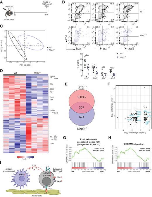 IL18 Receptor Signaling Regulates Tumor-Reactive CD8+ T-cell Exhaustion ...