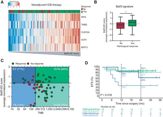 Inhibitor of Apoptosis Proteins Antagonist Induces T-cell Proliferation ...