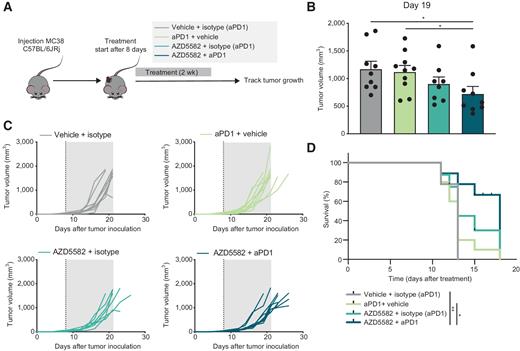Inhibitor of Apoptosis Proteins Antagonist Induces T-cell Proliferation ...