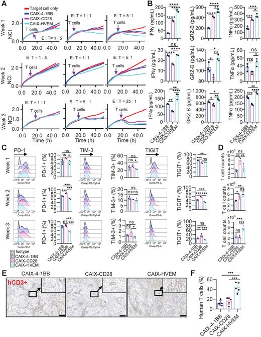 Herpes Virus Entry Mediator Costimulation Signaling Enhances CAR T-cell ...