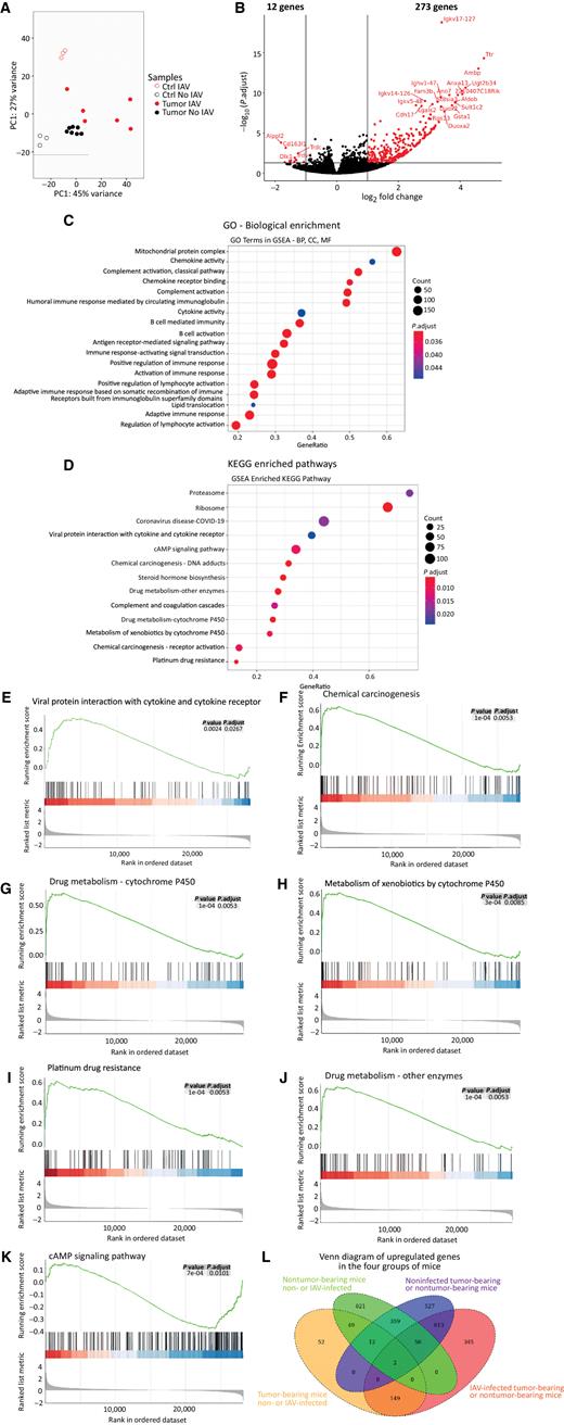 Acute Influenza Infection Promotes Lung Tumor Growth by Reprogramming ...