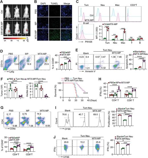 Tumor Cell–Derived Microparticles Induced by Methotrexate Augment T ...