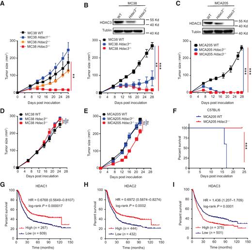 HDAC3 Inhibition Promotes Antitumor Immunity by Enhancing CXCL10 ...