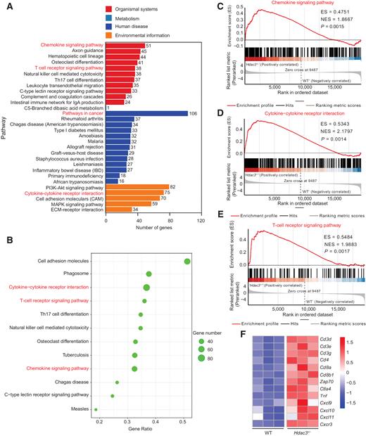 HDAC3 Inhibition Promotes Antitumor Immunity by Enhancing CXCL10 ...