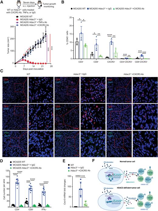 HDAC3 Inhibition Promotes Antitumor Immunity by Enhancing CXCL10 ...