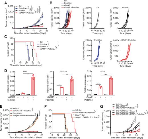 Discovery of Podofilox as a Potent cGAMP–STING Signaling Enhancer with ...