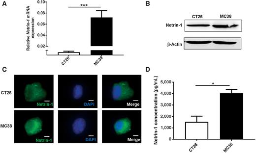 Netrin-1 Promotes the Immunosuppressive Activity of MDSCs in Colorectal ...