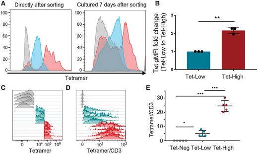 Low TCR Binding Strength Results in Increased Progenitor-like CD8 ...