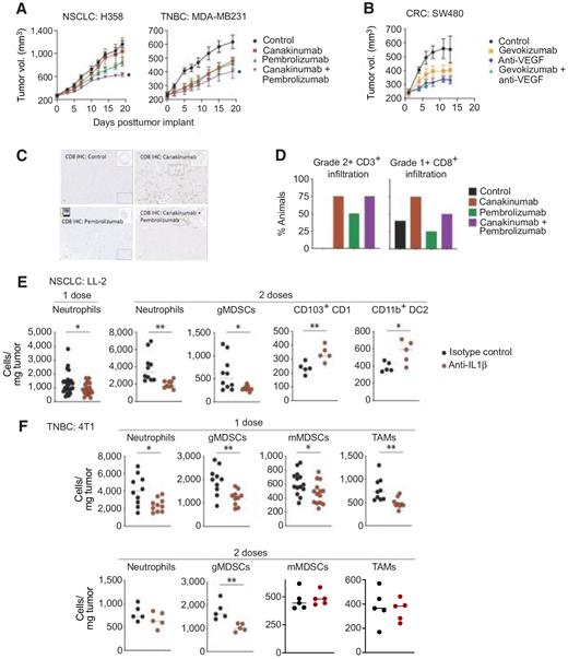 Targeting the IL1β Pathway for Cancer Immunotherapy Remodels the Tumor ...