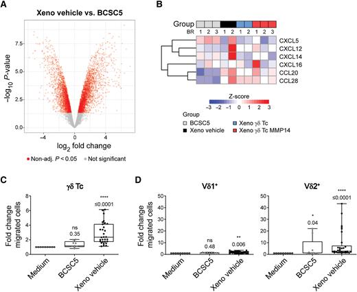 Breast Cancer Stem Cell–Derived Tumors Escape from γδ T-cell ...