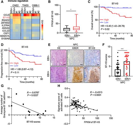 EBV-Upregulated B7-H3 Inhibits NK cell–Mediated Antitumor Function and ...