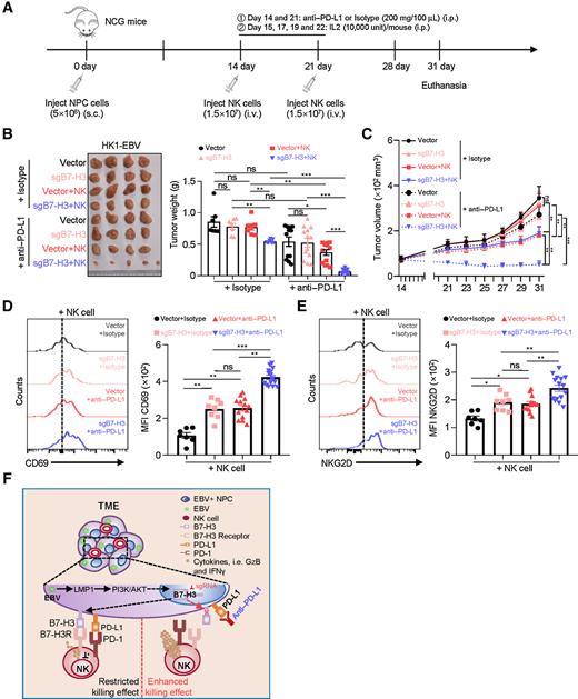 EBV-Upregulated B7-H3 Inhibits NK cell–Mediated Antitumor Function and ...