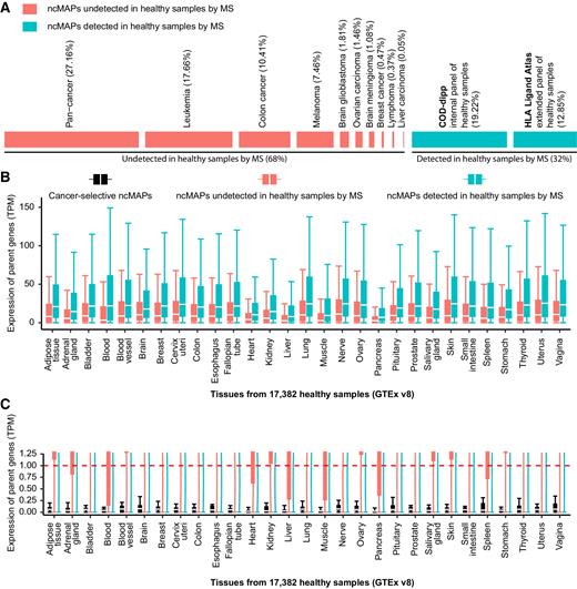 The Immunopeptidome from a Genomic Perspective: Establishing the ...